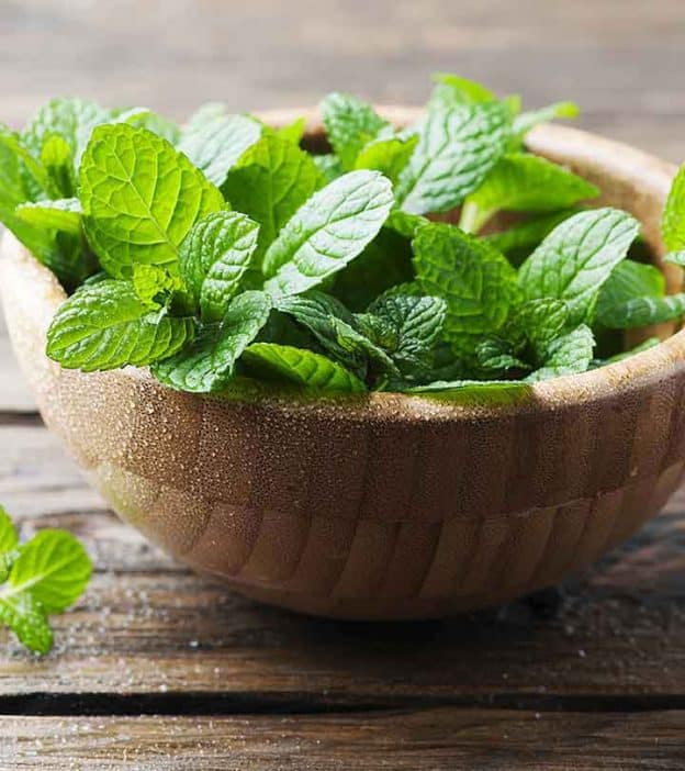 Health Benefits of Peppermint - Top 10 - Beauty Body & Health